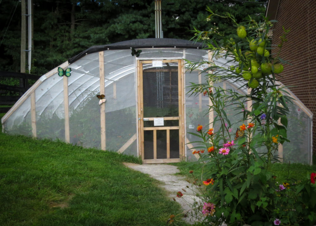 Visit the butterfly house at Luna's - Betty Hall Photography
